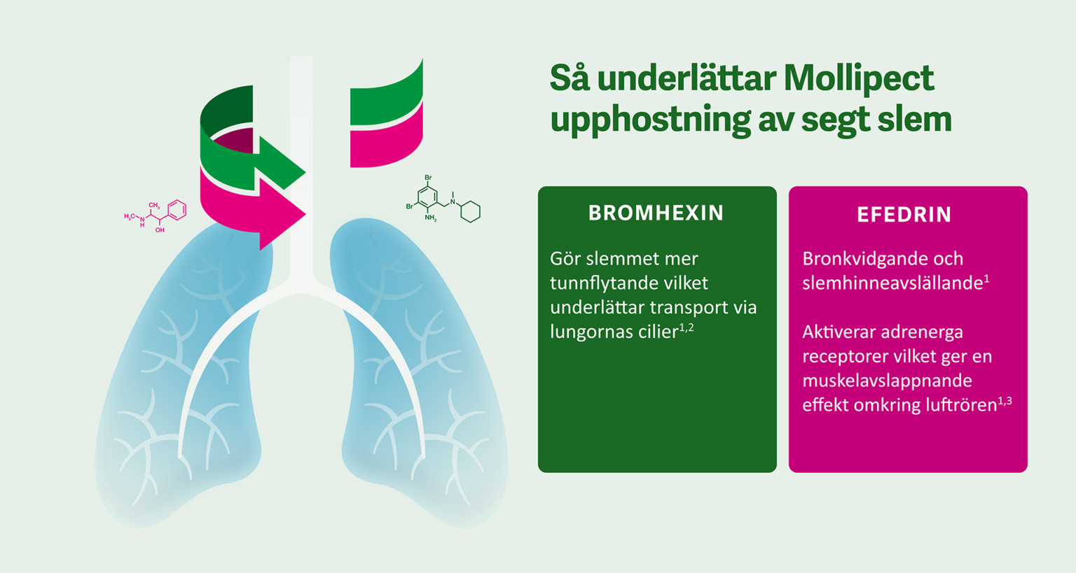 Om Mollipect - Mollipect