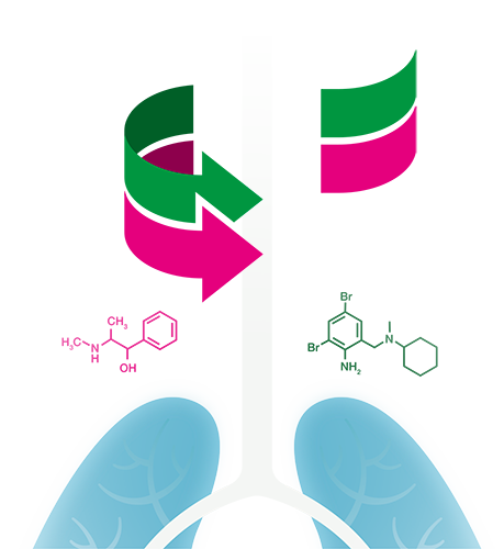Om Mollipect - Mollipect